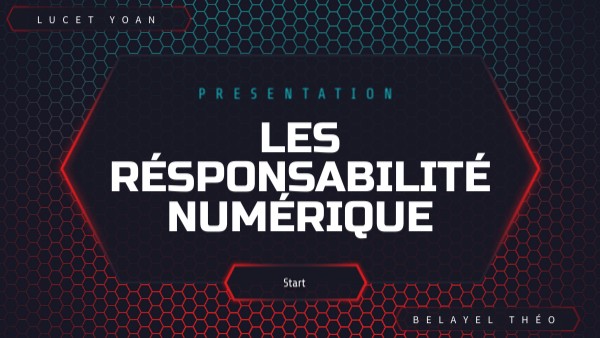 MSDNG numérique | Genially