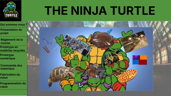 The ninja Turtles