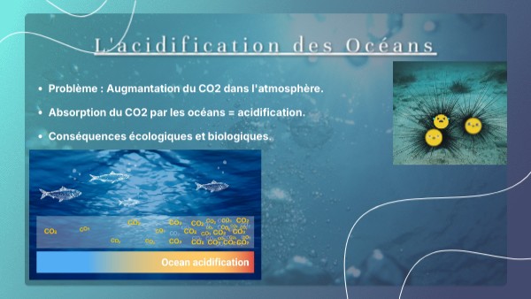Acidification océan oursins | Genially