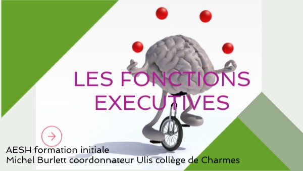 2025 les fonctions executives AESH formation initiale | Genially