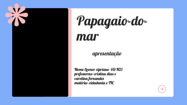 Papagaio-do-mar | Genially