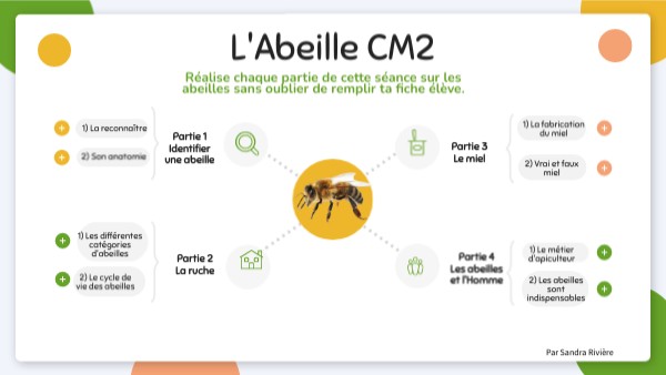Les Abeilles CM2 | Genially