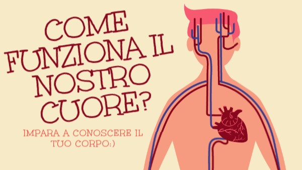 come funziona il nostro cuore? | Genially