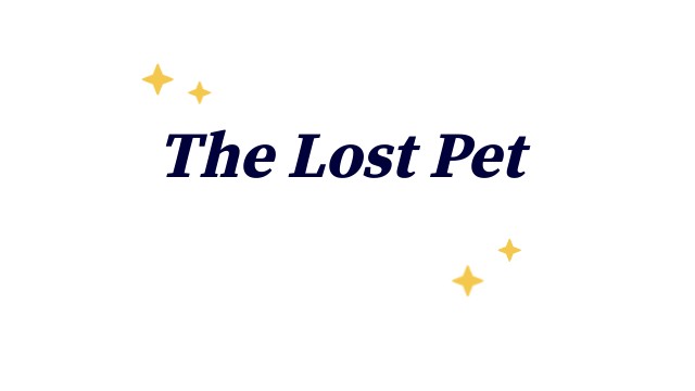 The Lost Pet | Genially