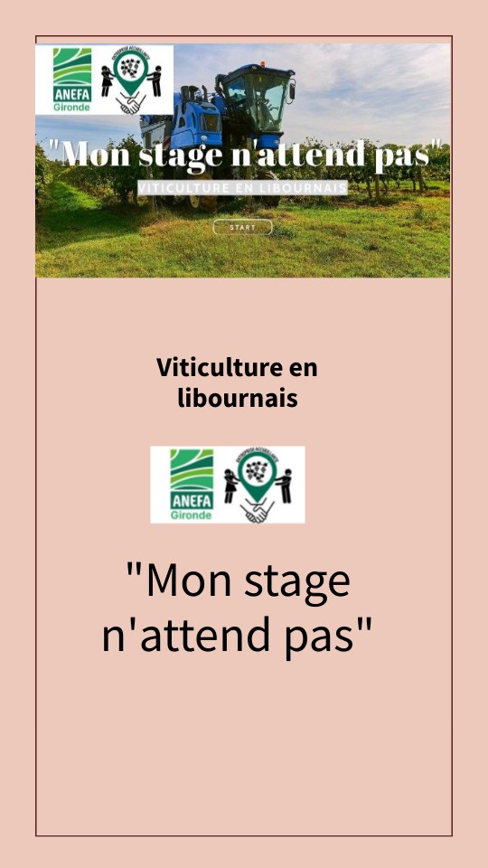 "Mon stage n'attend pas" | Genially