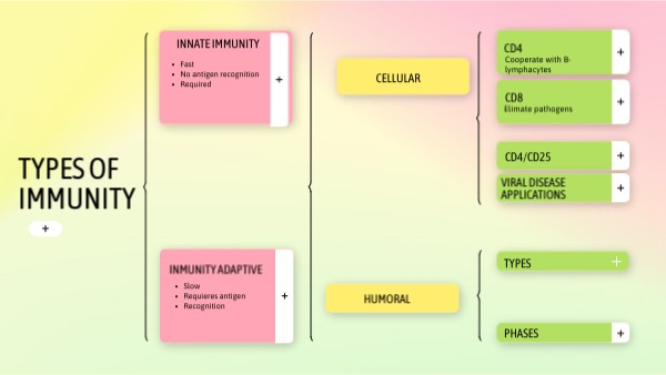 Types of immunity | Genially