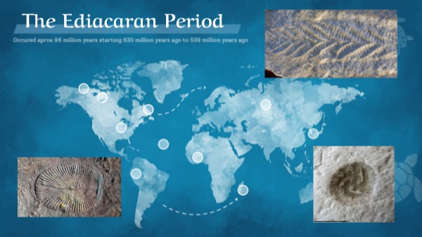 The Ediacaran Period | Genially