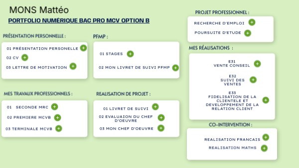 portfolio NUMérique bac pro mcv option b | Genially