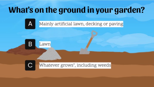 Build Your Garden II | Genially