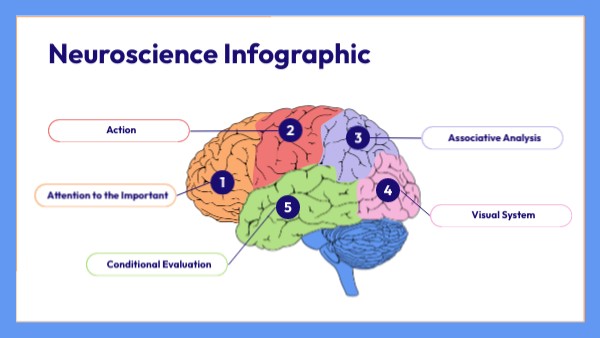 Neuroscience Infographic | Genially