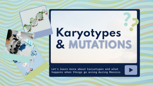 Karyotypes & Nondisjunction | Genially