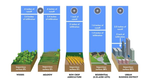 AGLL 1013 Spanish Version - Module 3 Impervious Surfaces HotSpot | Genially
