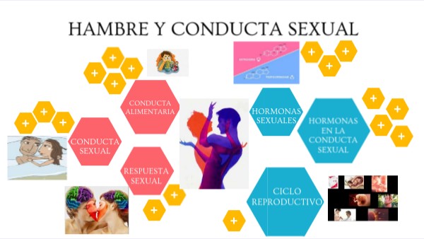 HAMBRE Y CONDUCTA SEXUAL | Genially