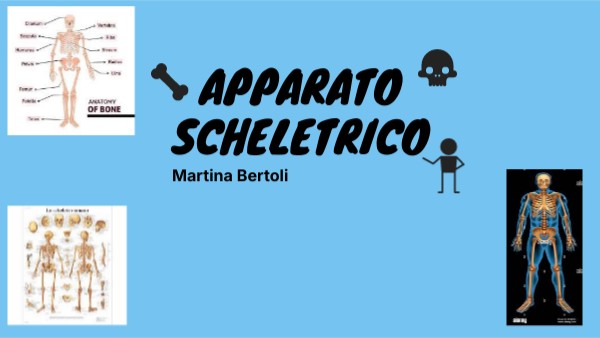APPARATO SCHELETRICO | Genially