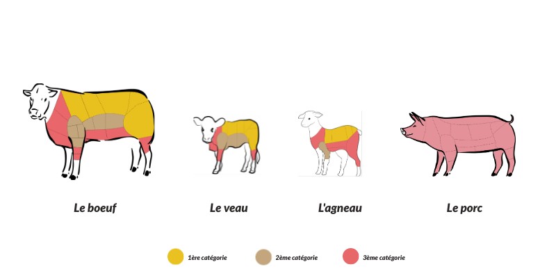 Les catégories | Genially