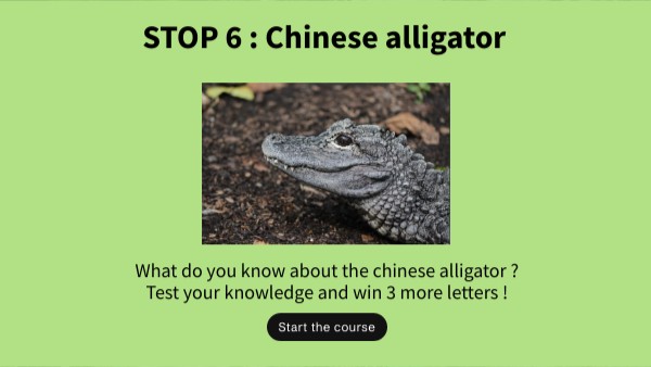 Alligator Pédago'Déj | Genially