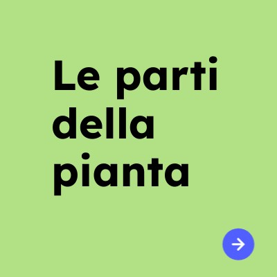 Le parti della pianta | Genially