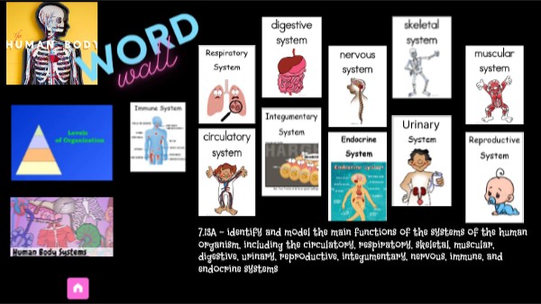 Unit 9- Body Systems Word Wall | Genially