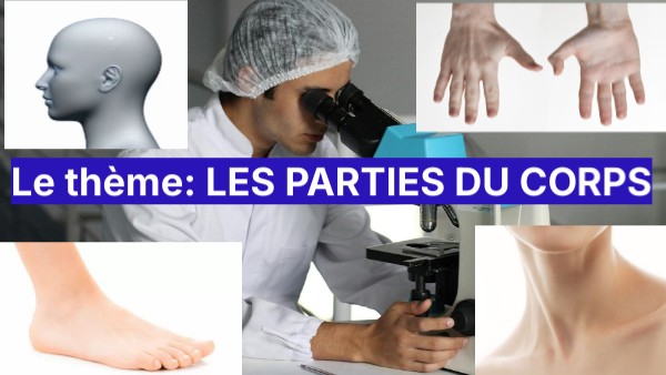 Le thème: LES PARTIES DU CORPS | Genially