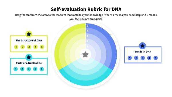 Self-evaluation Rubric for DNA | Genially