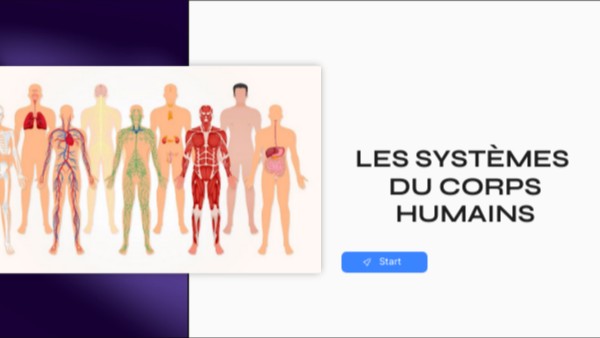 les systèmes du corps humains | Genially