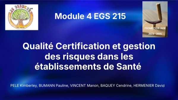 Module 4 EGS 215 | Genially