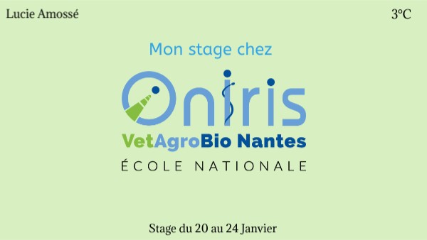 Mon stage chez Oniris | Genially