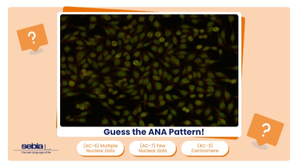 Guess the Pattern - Week 2 - 2025 | Genially