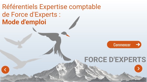 Référentiels Expertise comptable : Mode d'emploi | Genially