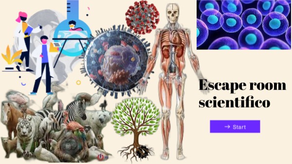 escape room | Genially