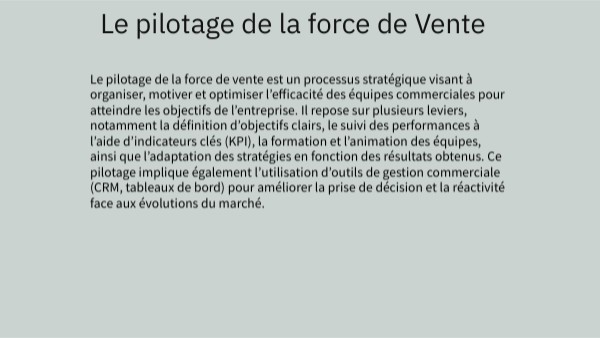 Le pilotage de la force de vente | Genially