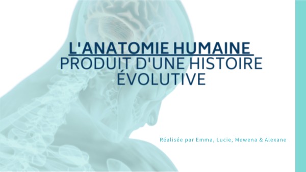 L'anatomie humaine PRoduit d'uNe histoire évolutive | Genially