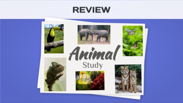 Boyd - Module 6 Independent Assignment - Games | Genially