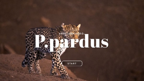 P.pardus | Genially