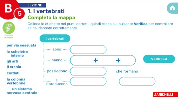 MAPPE VOL.1B | Genially
