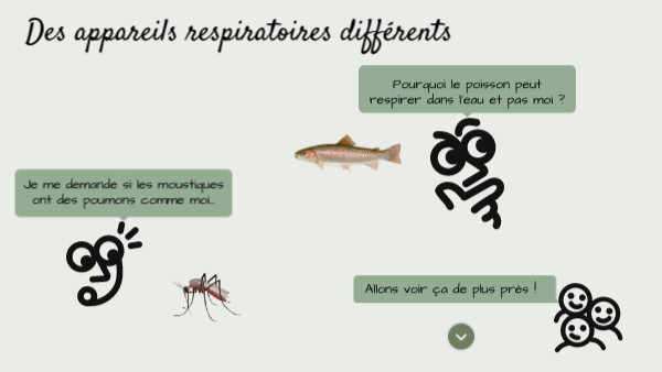 Chapitre 6 les échanges gazeux chez les animaux | Genially