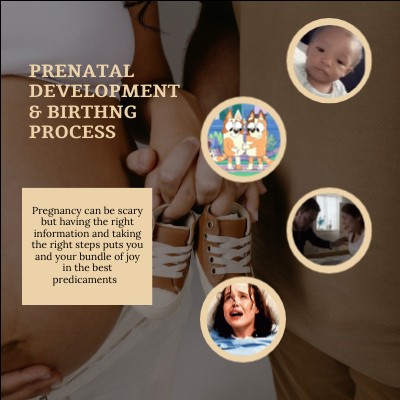 prenatal development & Birthng process | Genially