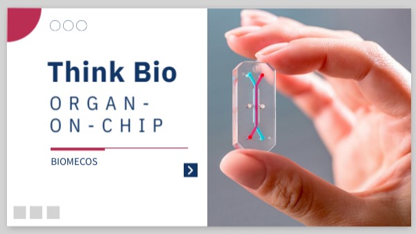 Think Bio | Genially