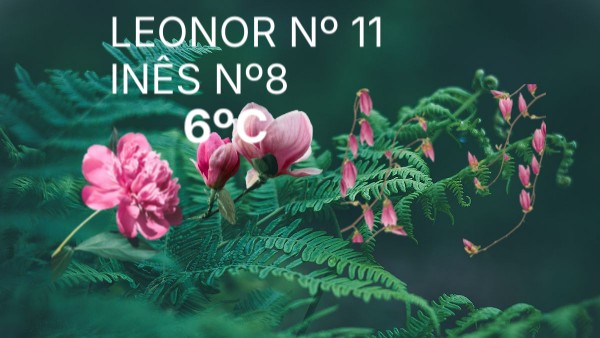 LEONOR Nº 11 INÊS Nº8 | Genially