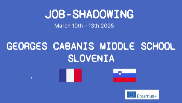 JOB-SHADOWING | Genially