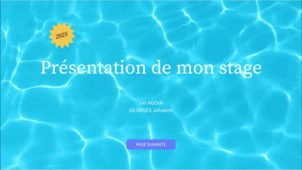 Présentation de mon stage | Genially