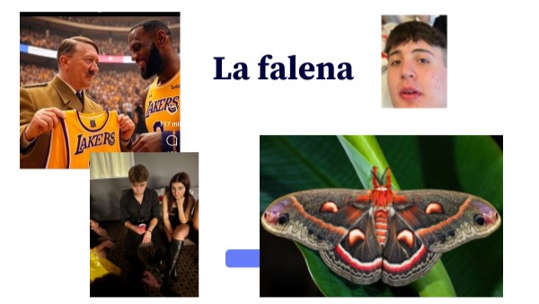 La falena | Genially