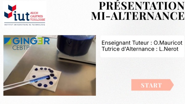 Présentation mi-alternance | Genially