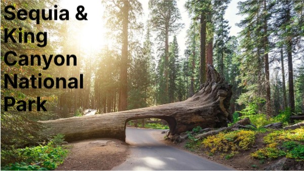 Sequia & King Canyon National Park | Genially