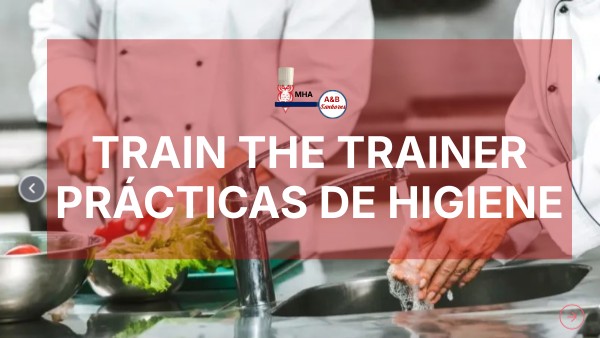 TRAIN THE TRAINER MHA | Genially