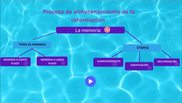 Proceso de almacenamiento de la informacion | Genially
