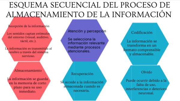 Esquema secuencial del proceso de almacenamiento de la información ...