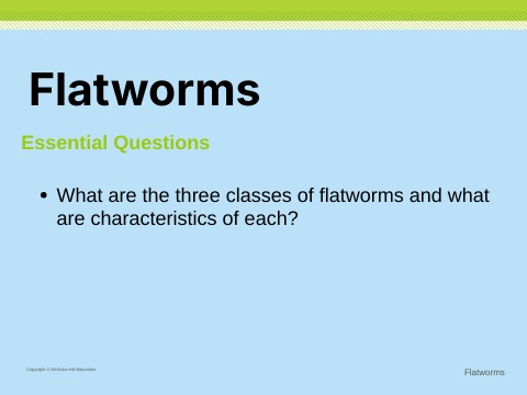 Flatworms | Genially