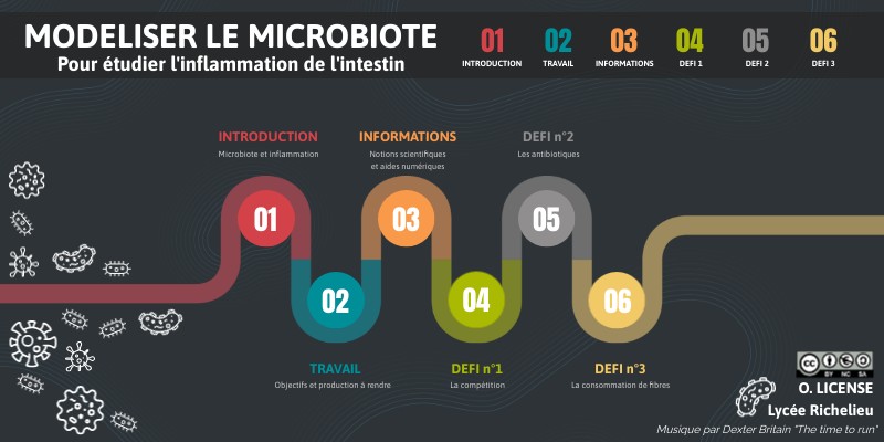 MODELISER LE MICROBIOTE | Genially