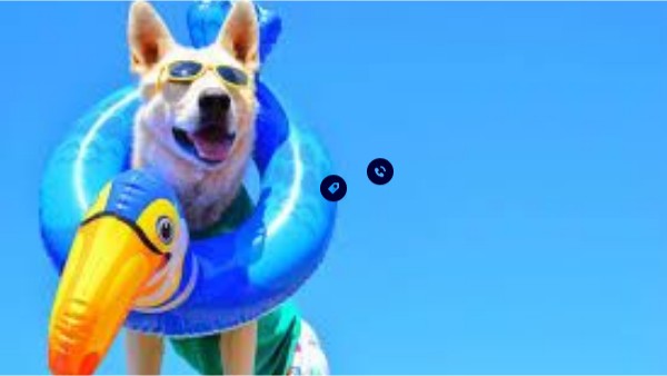 Il mio primo progetto a caso fatto in classe | Genially